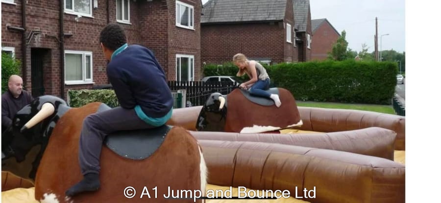 Rodeo Bull Ride off - Dual - Bouncy Castle & Rodeo Bull Hire in Gwent ...